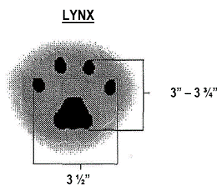 Oregon furbearer hunting and trapping regulations | Oregon Department of Fish & Wildlife